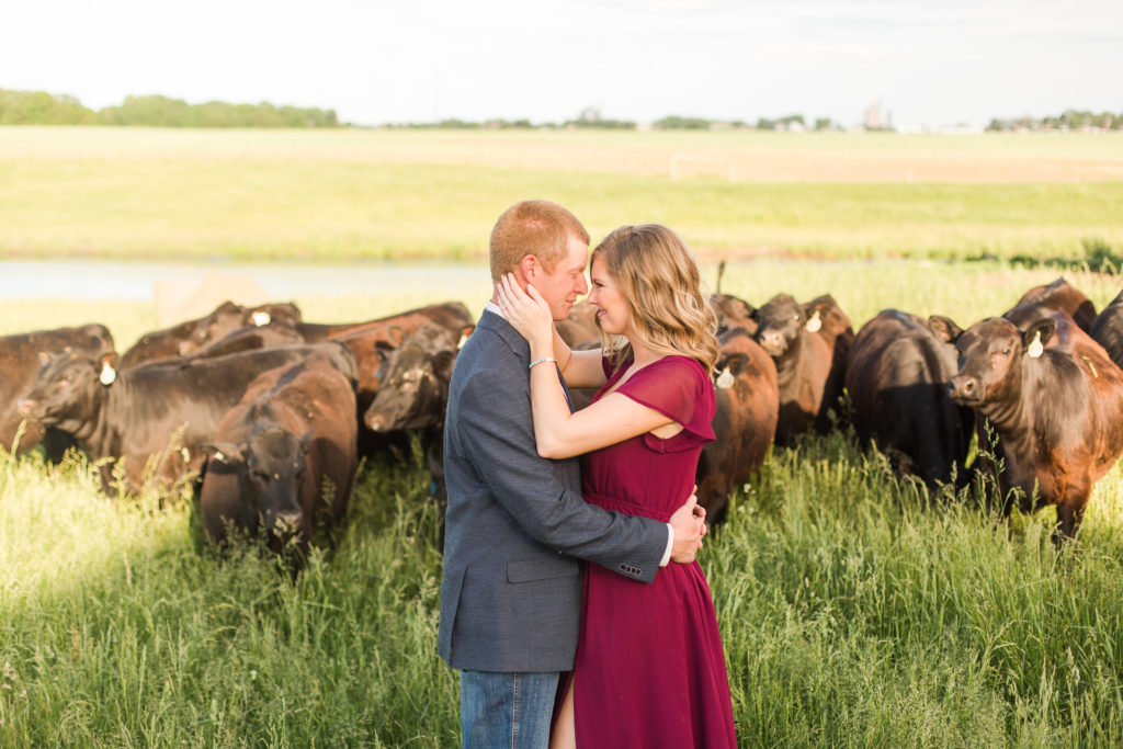 Jenny + Nathan | Virginia Illinois | Cattle Farm Engagement ...