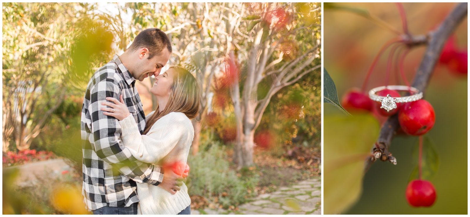 Mackenzie + Bryce | Springfield Illinois | Fall Engagement Photographer ...